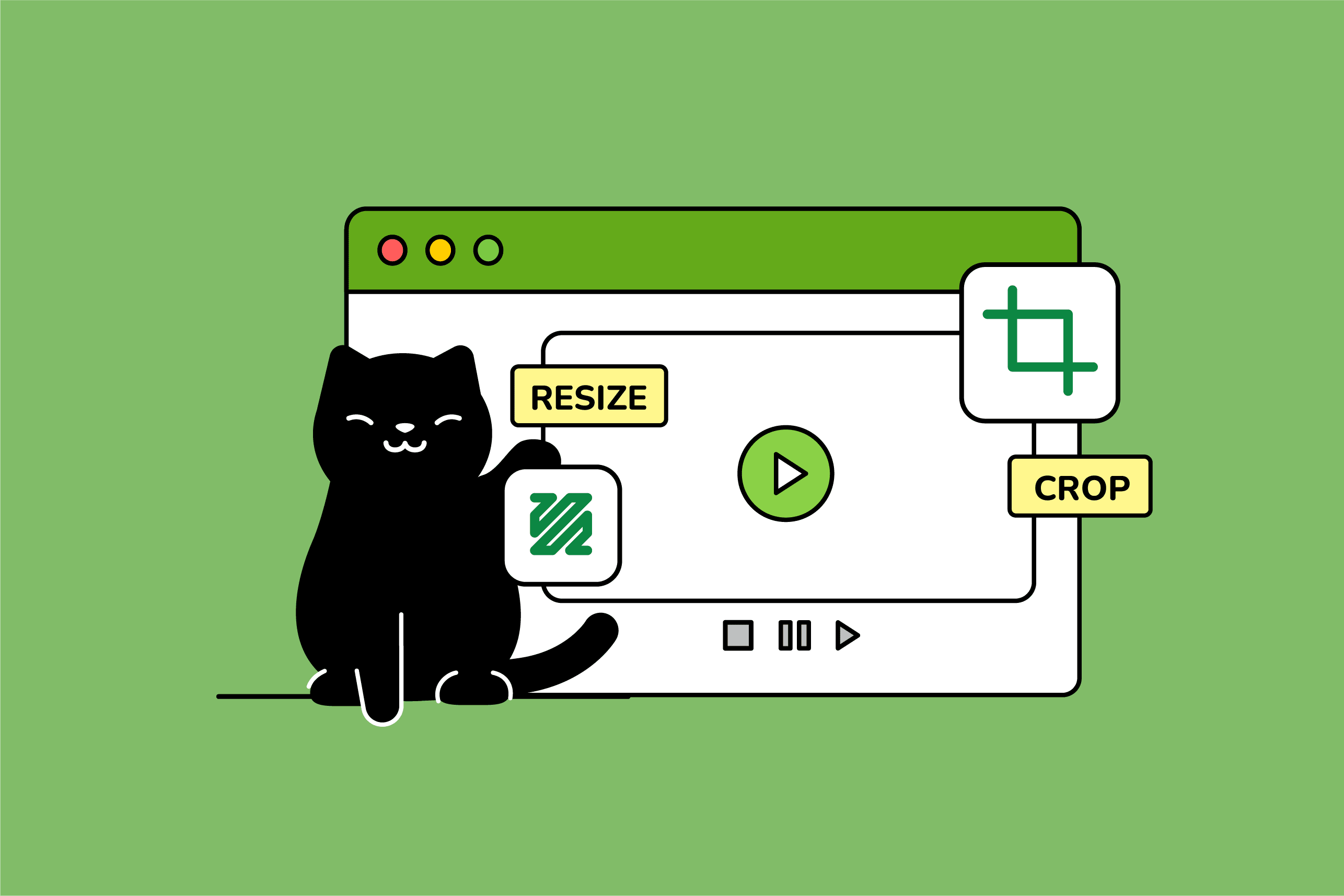 How to Crop and Resize Videos Using FFmpeg - Clipcat